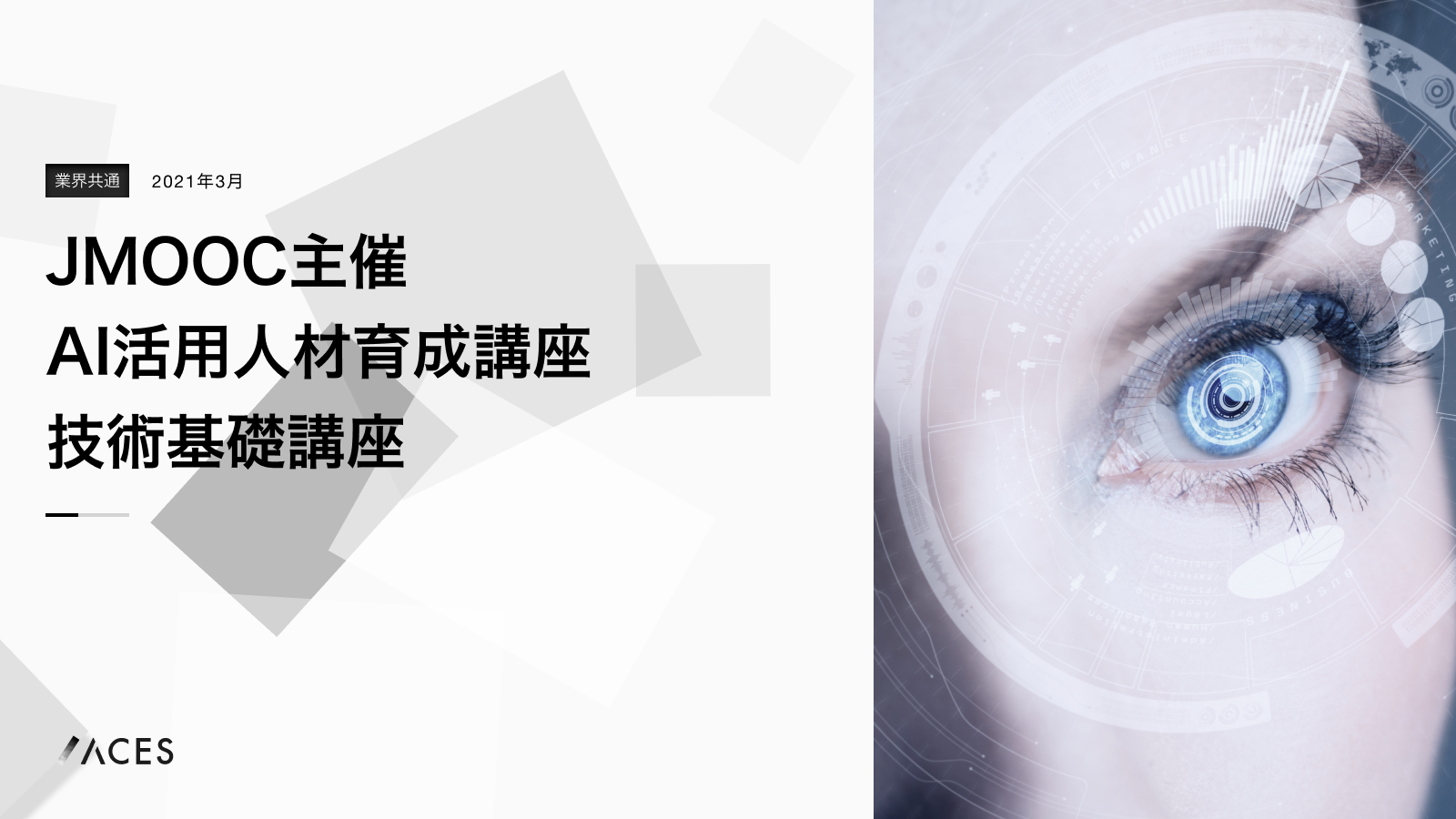 JMOOC主催「AI活用人材育成講座」基礎講座資料（2021年3月） | 株式会社ACES
